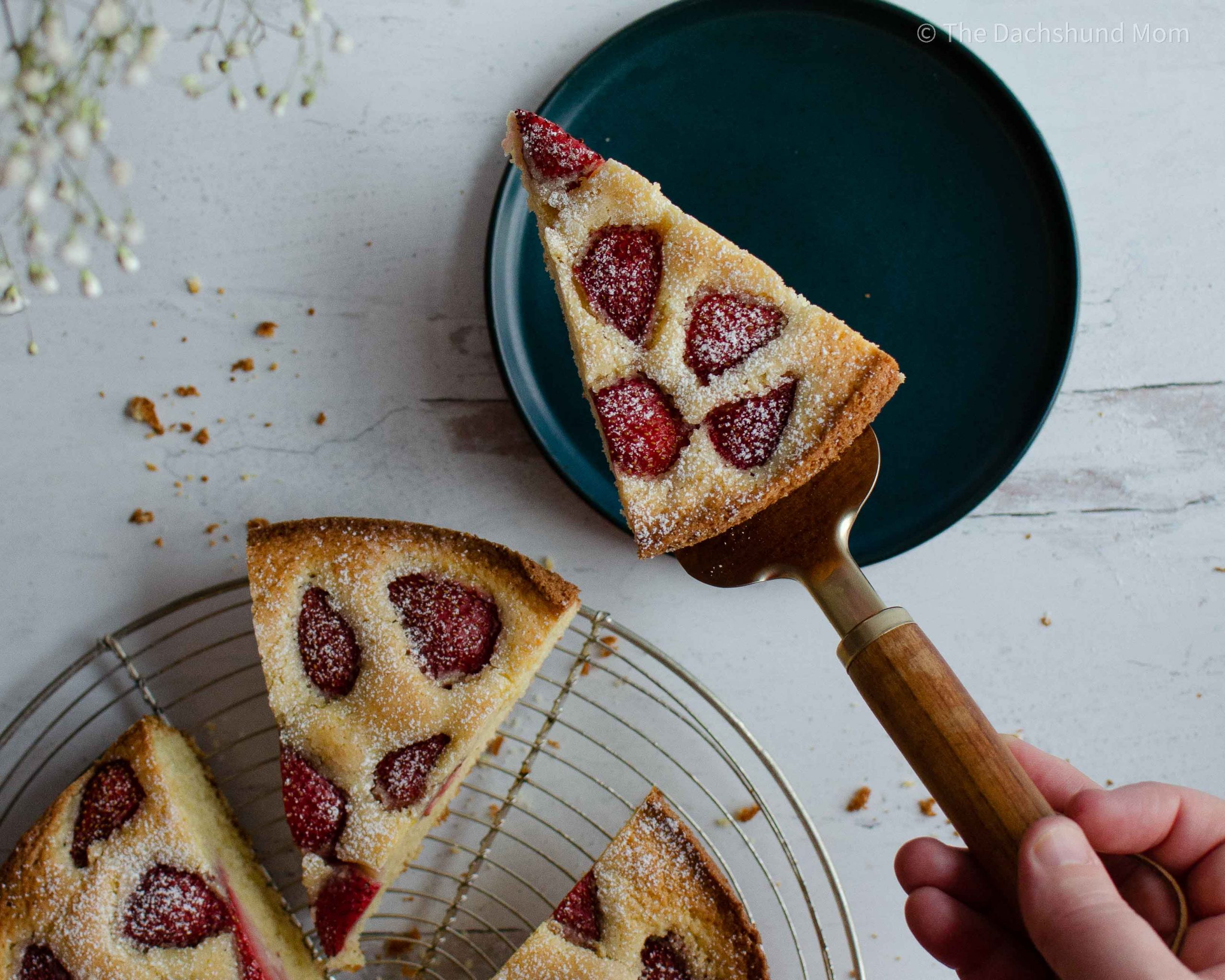 Strawberry Cornmeal Cake (Strawberry Cornbread) - The Dachshund Mom